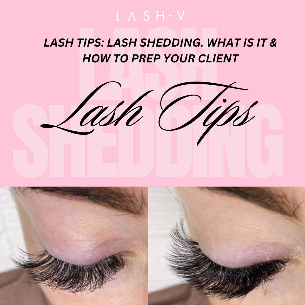 Let's talk Lash Shedding: what is it and how to prep your client - LASH V