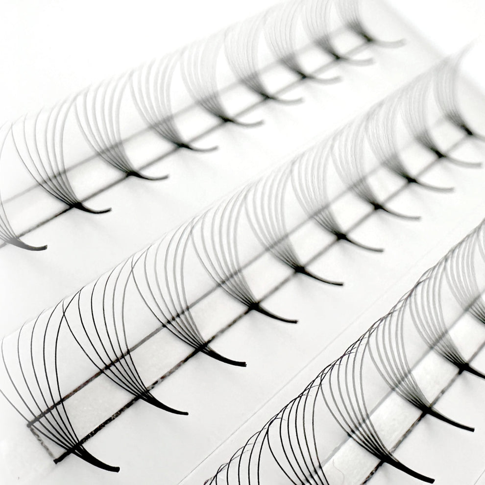 Sample Pro-Point Lash Fans - up to 48 Fans - 6D (40 fans) - LASH V
