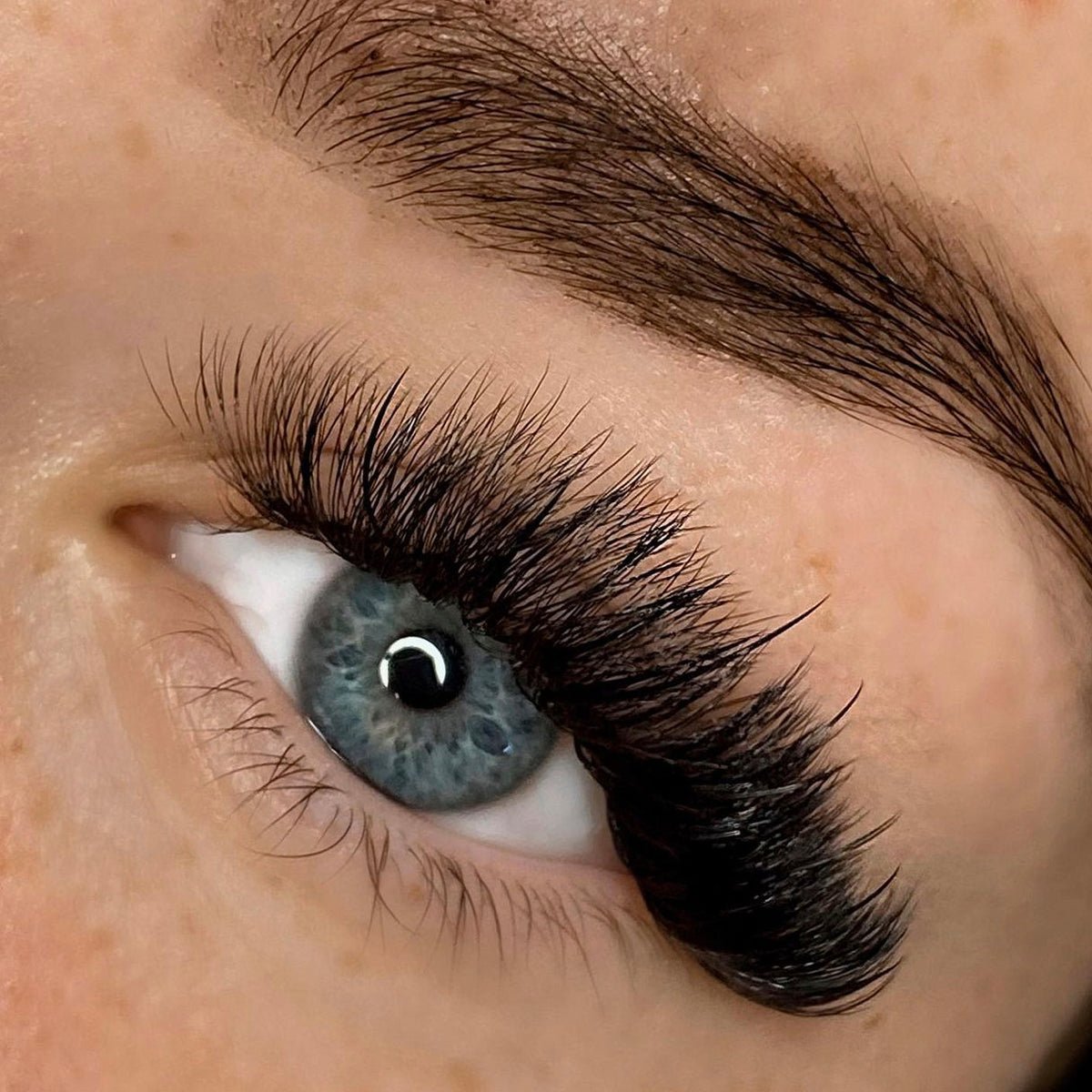 Premade Fans Spikes C Curl - LASH V